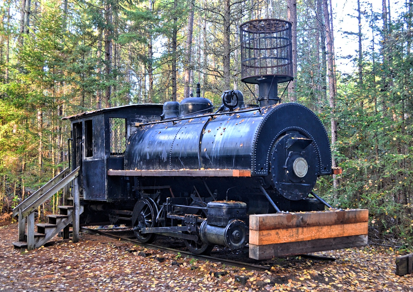 Algonquin Logging Museum Trail | TravelBox - Global Trip Activity Planner