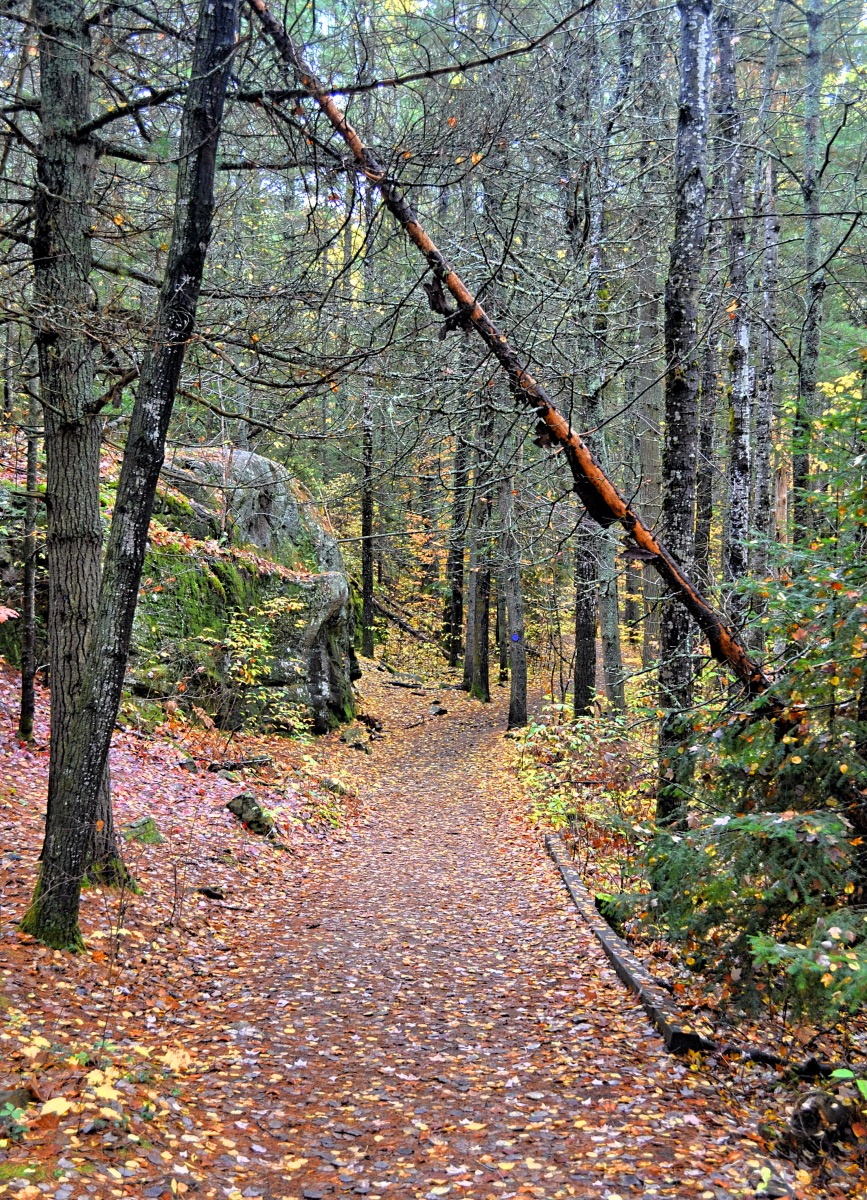 Big Pines Trail | TravelBox - Global Trip Activity Planner