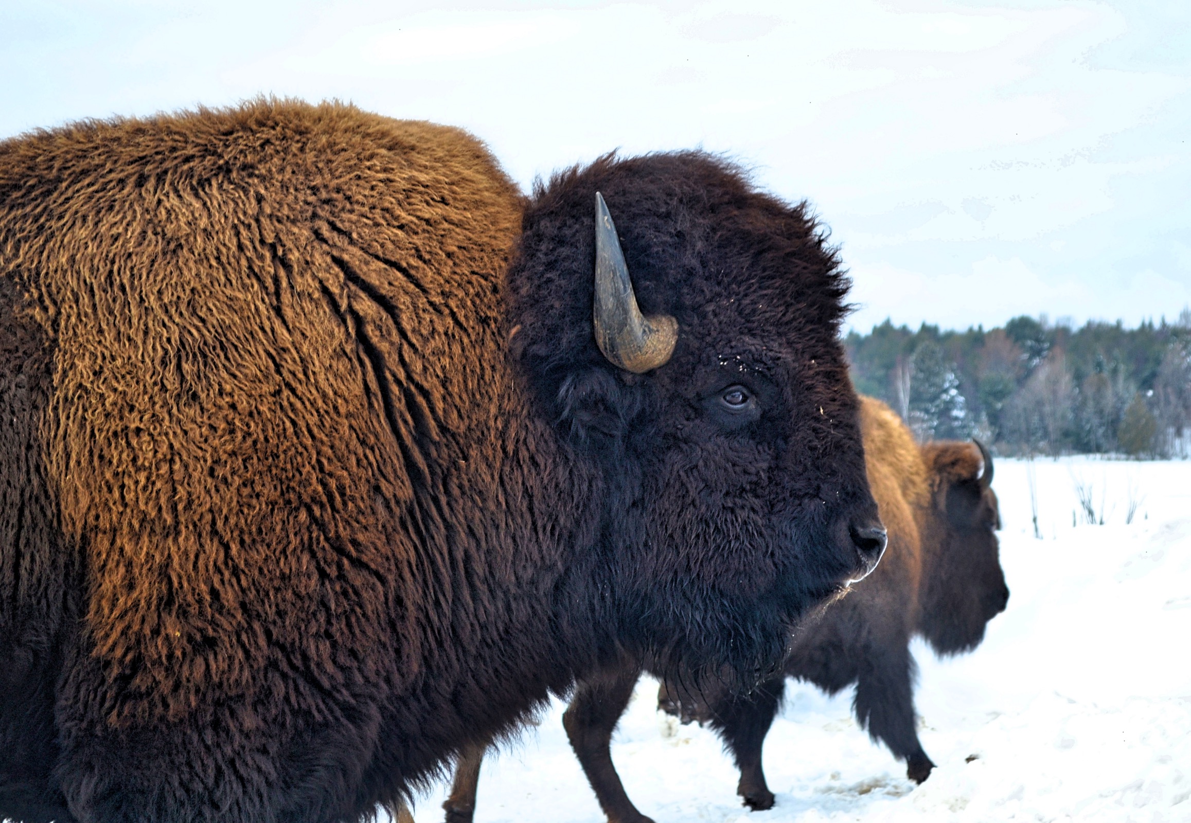 Omega Park | TravelBox - Global Trip Activity Planner