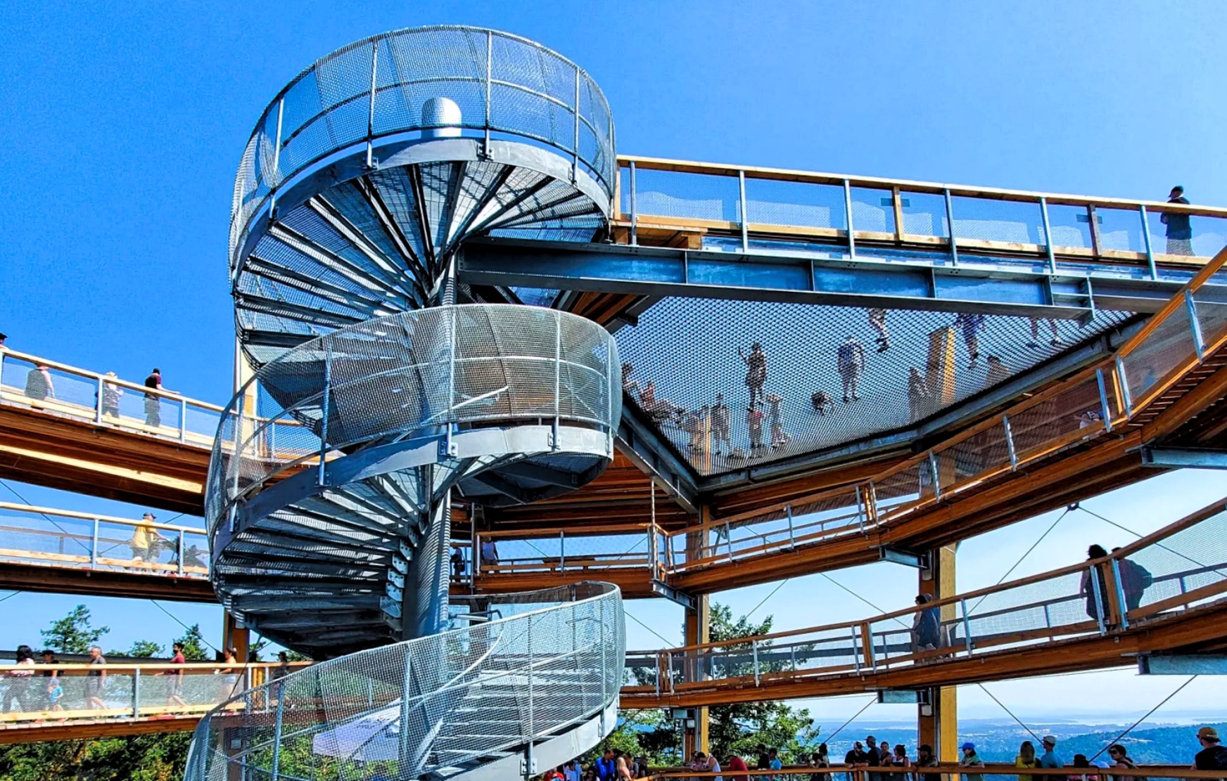 Malahat SkyWalk | TravelBox - Global Trip Activity Planner