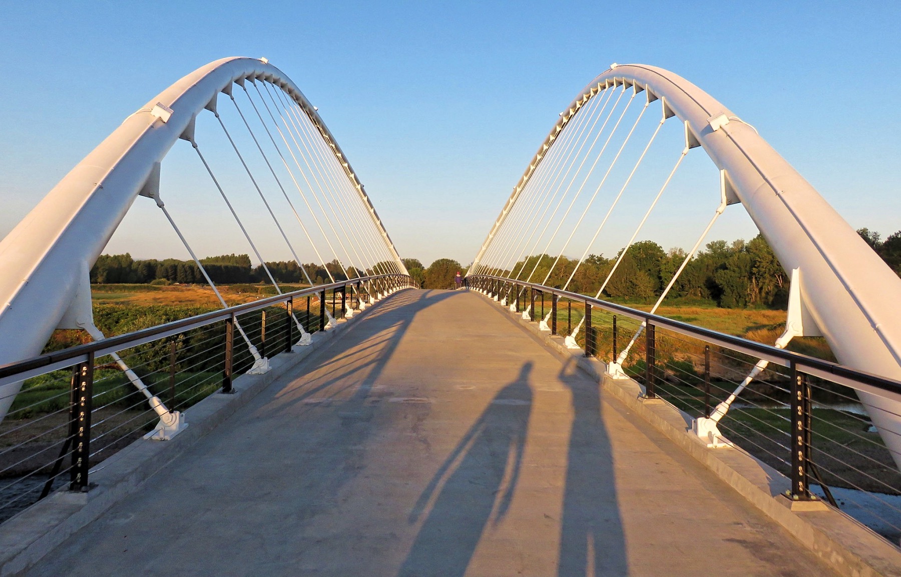 Peter Courtney Bridge | TravelBox - Global Trip Activity Planner