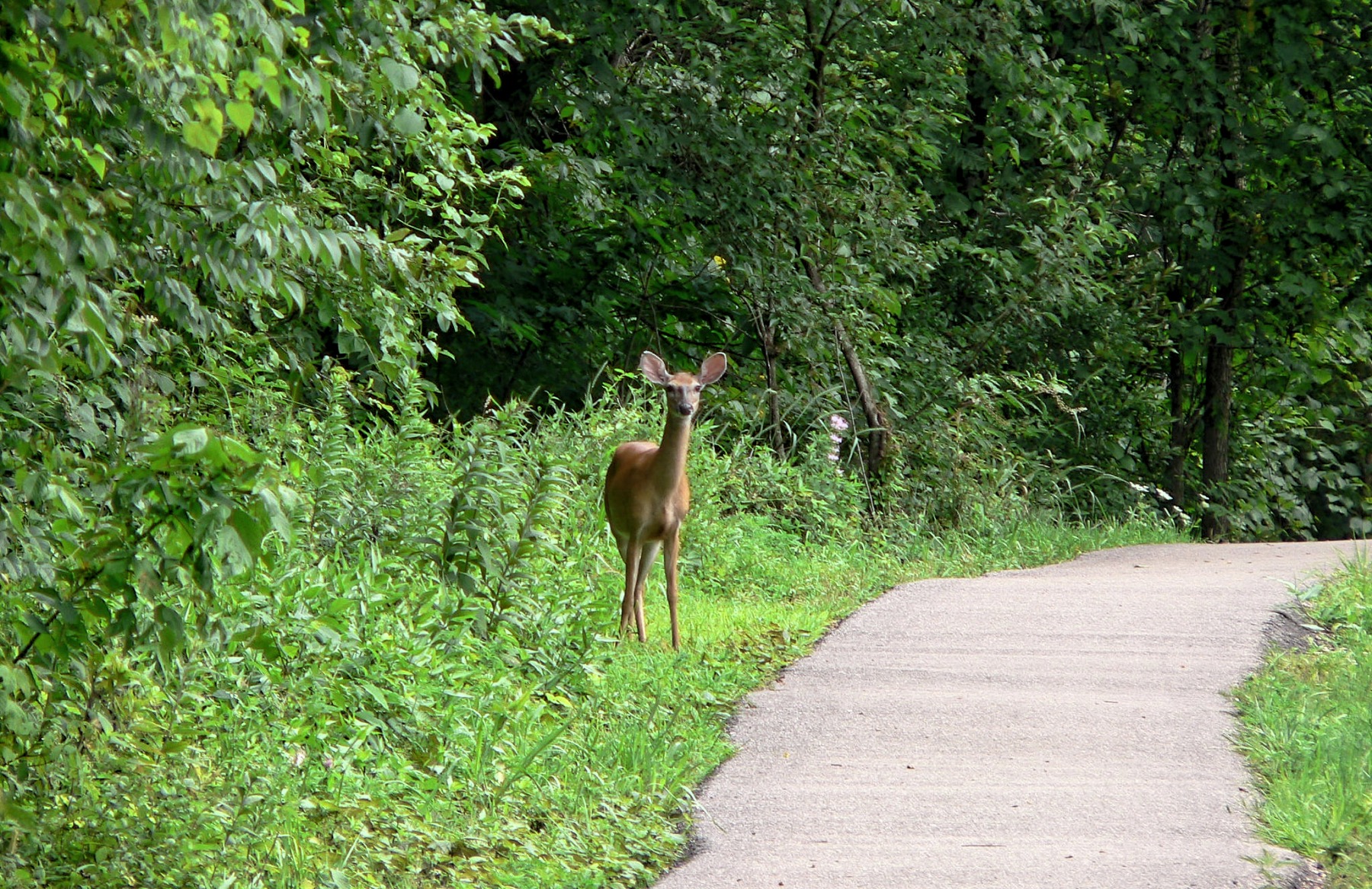 Runge Conservation Nature Center | TravelBox - Global Trip Activity Planner