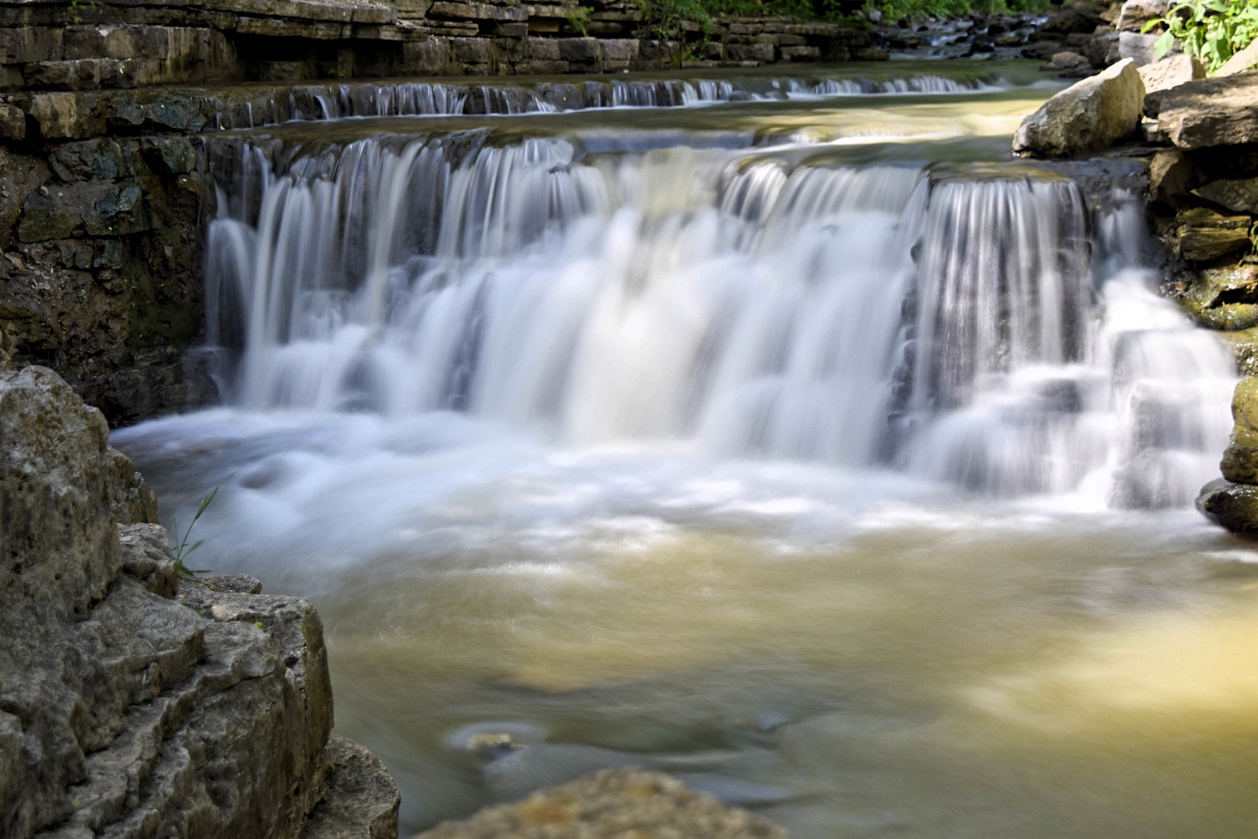 Cove Springs Park | TravelBox - Global Trip Activity Planner