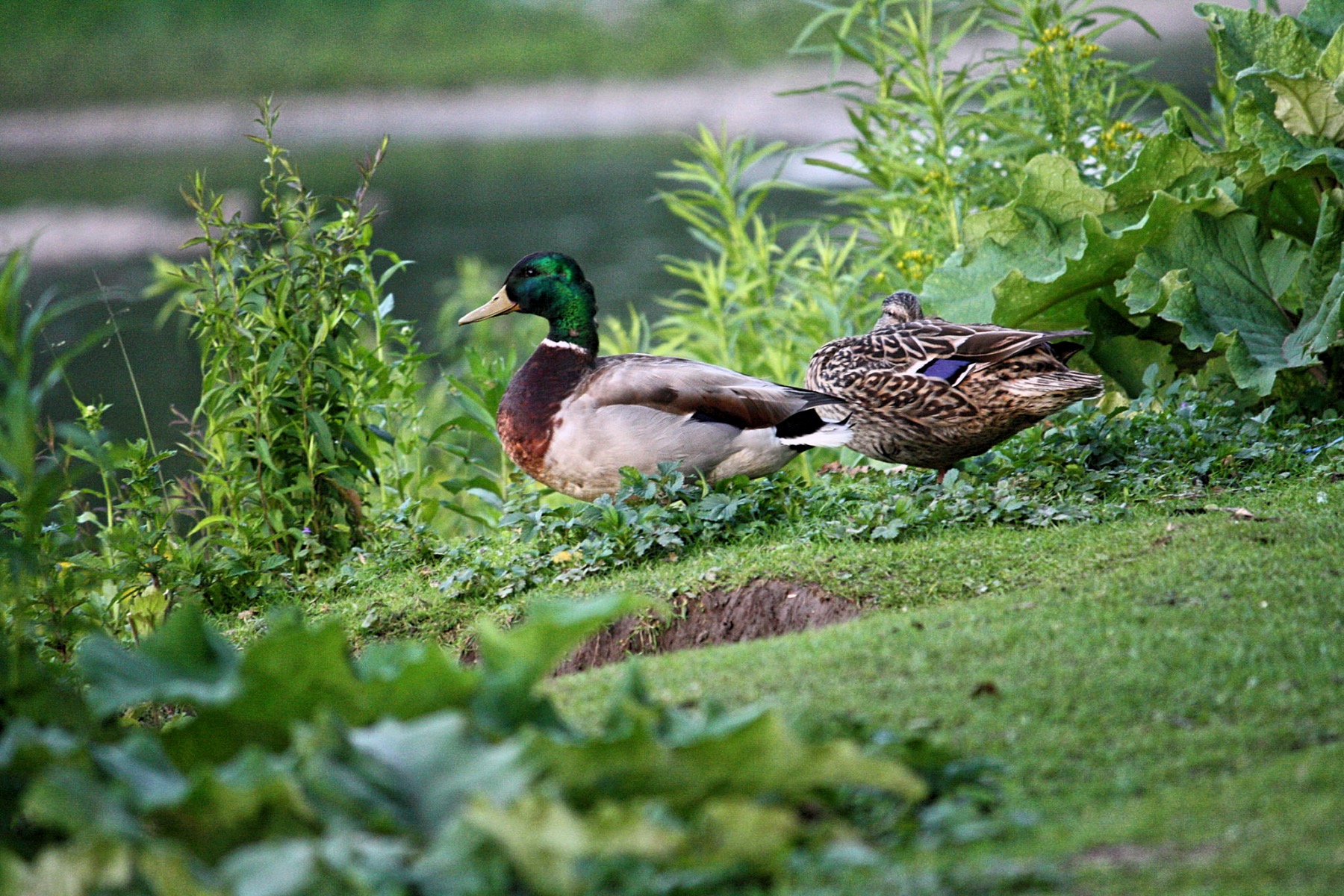 Springbank Park, London | TravelBox - Global Trip Activity Planner