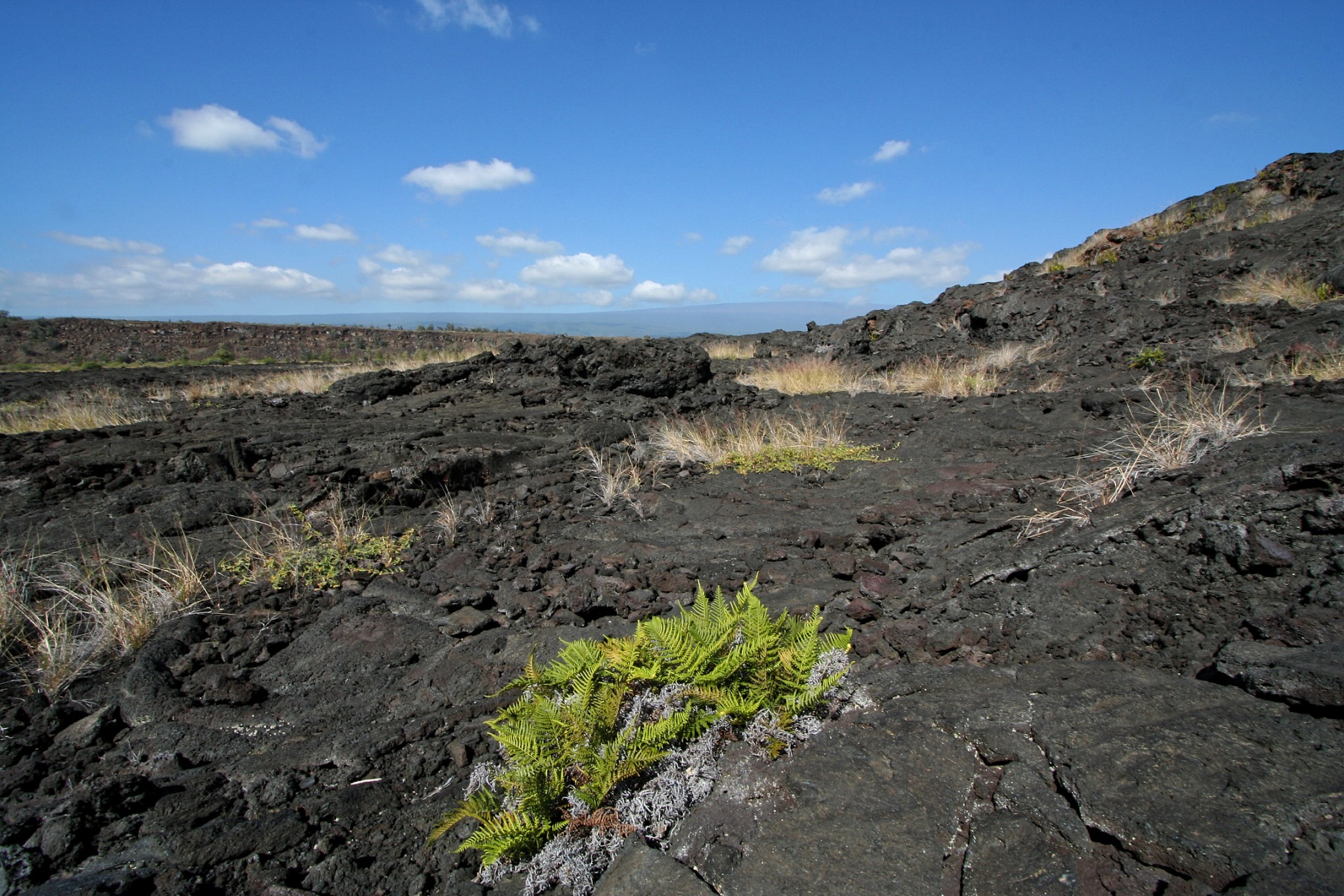 Hawaii Volcanoes National Park | TravelBox - Global Trip Activity Planner