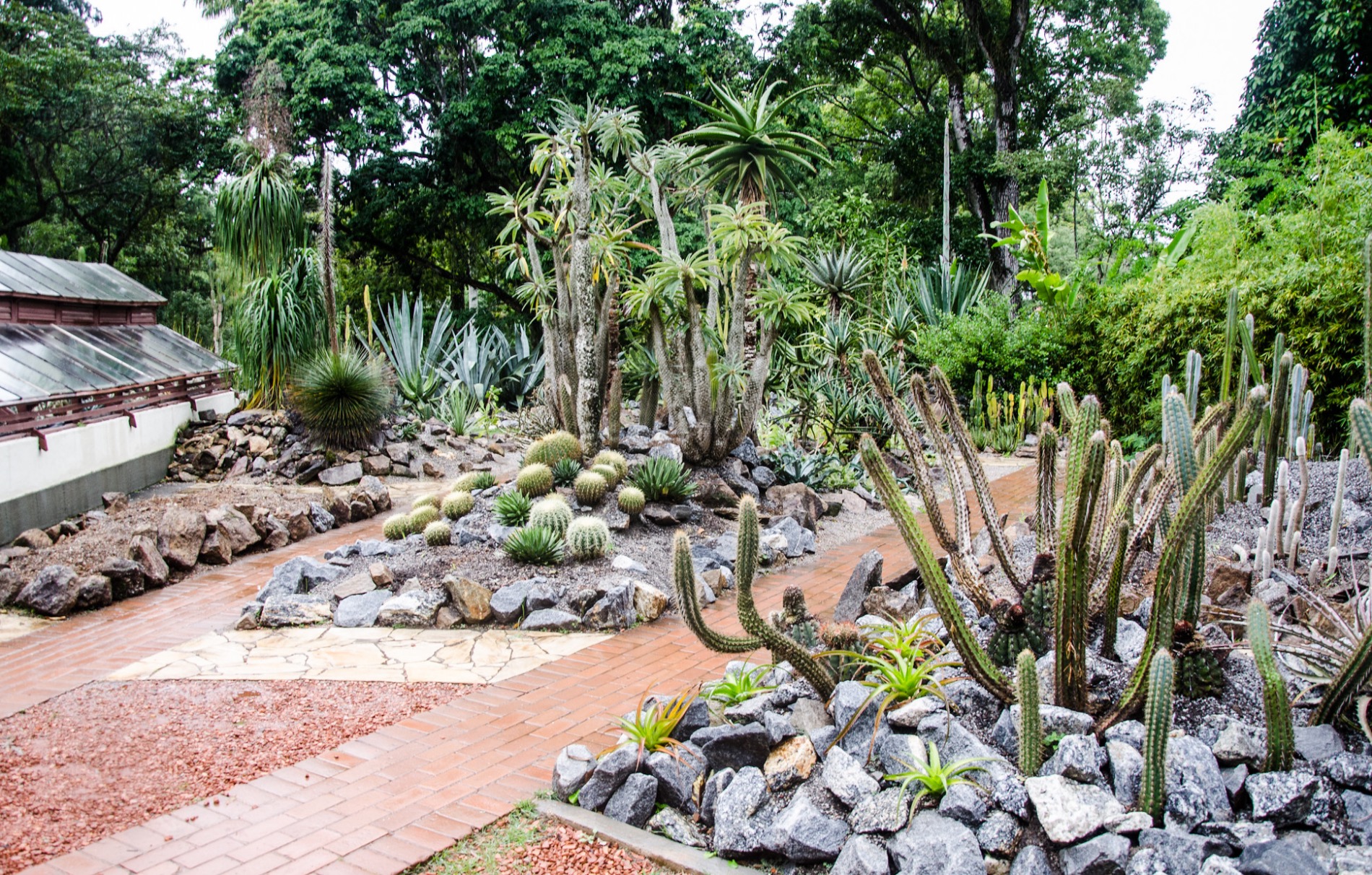 Rio Botanical Garden | TravelBox - Global Trip Activity Planner