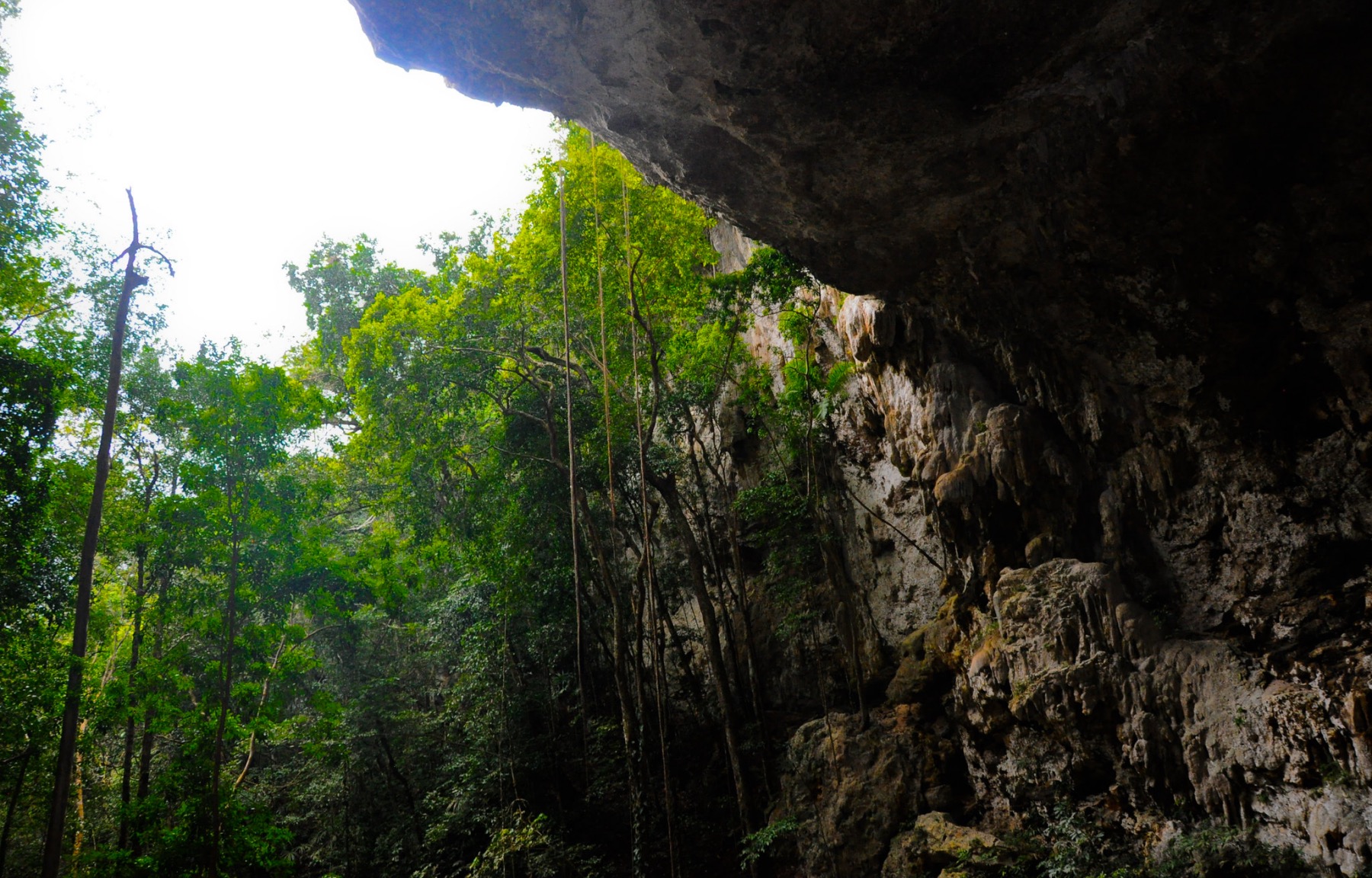 Rio Frio Cave | TravelBox - Global Trip Activity Planner