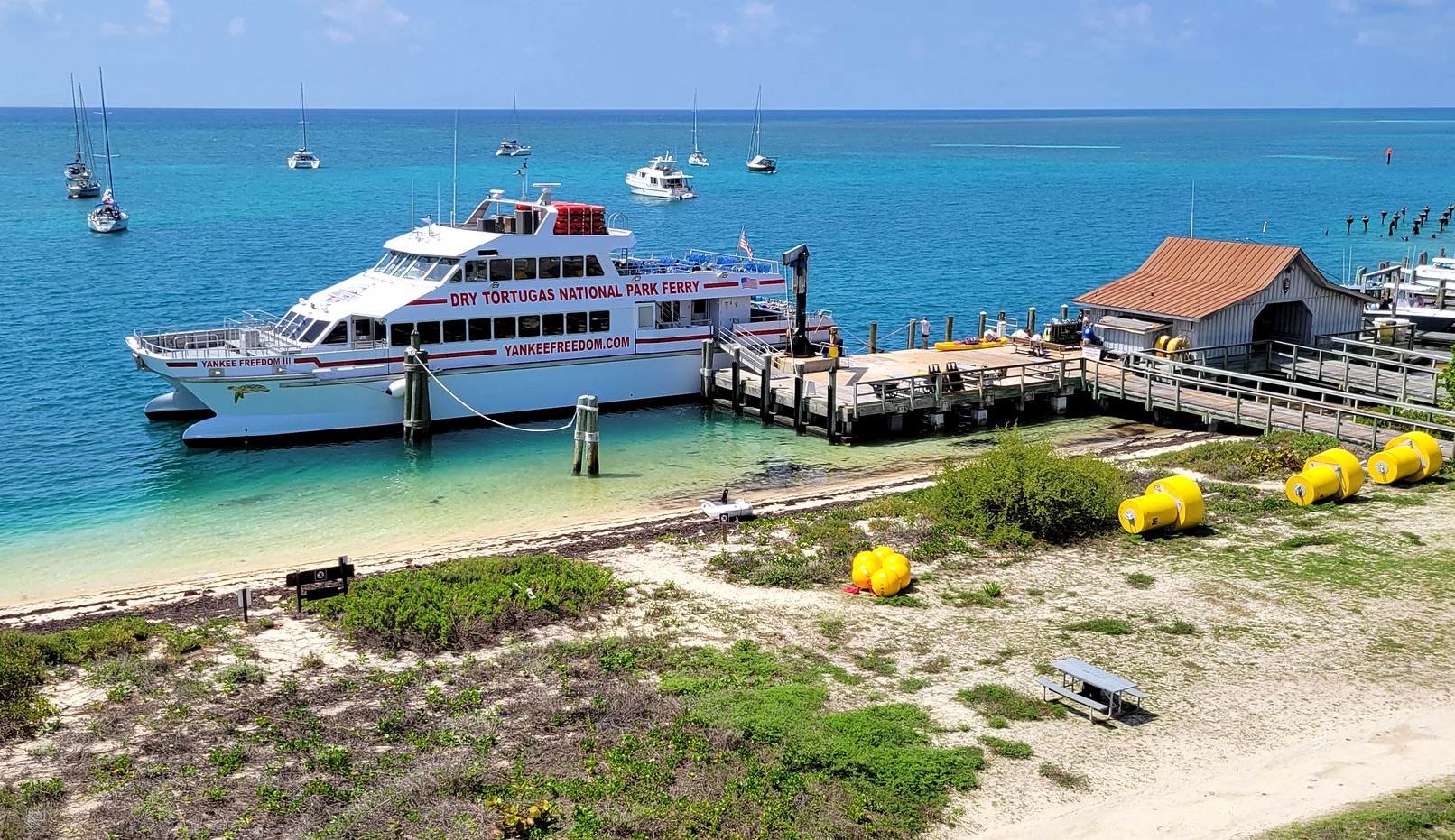 Yankee Freedom Dry Tortugas Ferry | TravelBox - Global Trip Activity ...