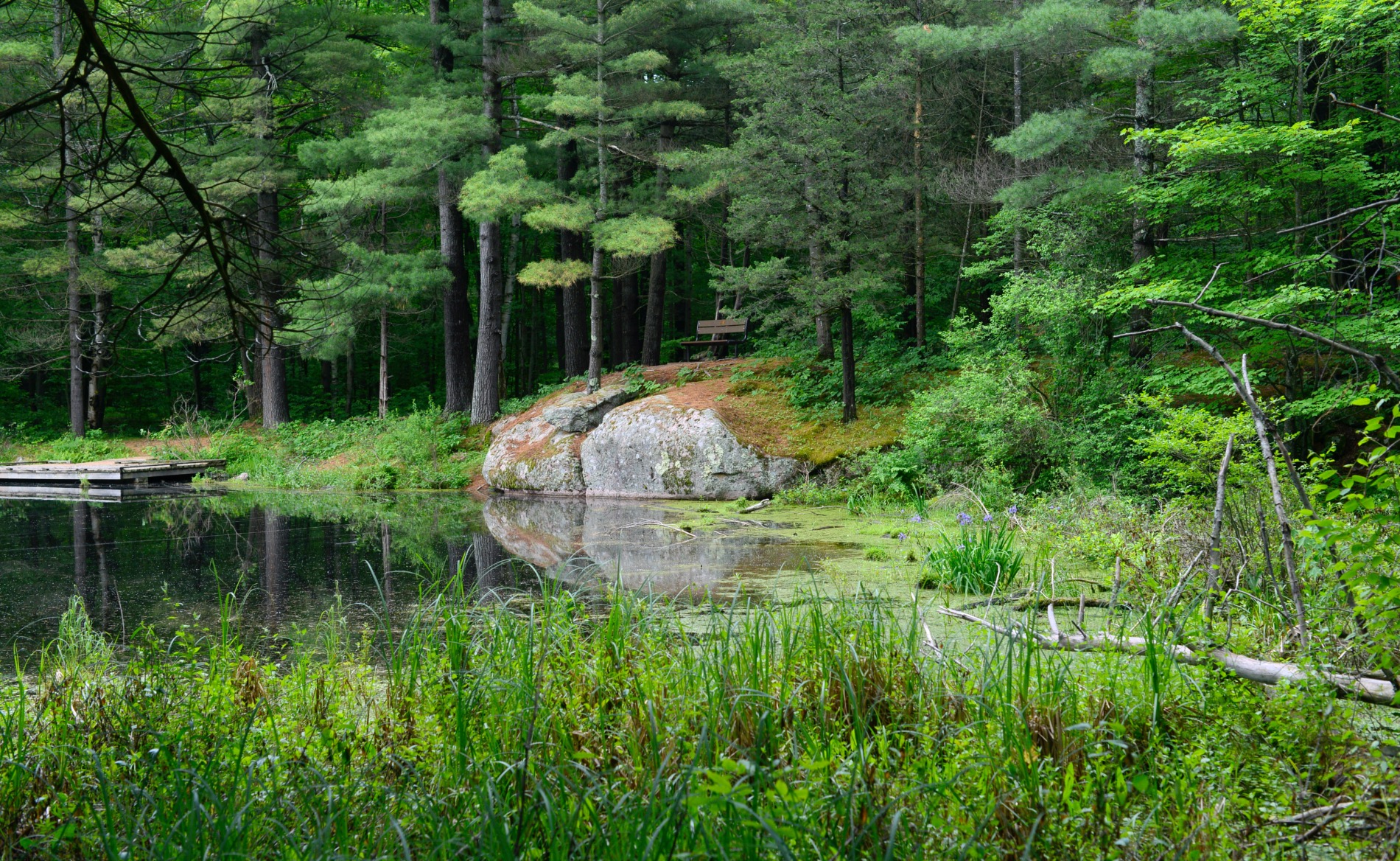 Beaver Pond Trail (Foley) | TravelBox - Global Trip Activity Planner