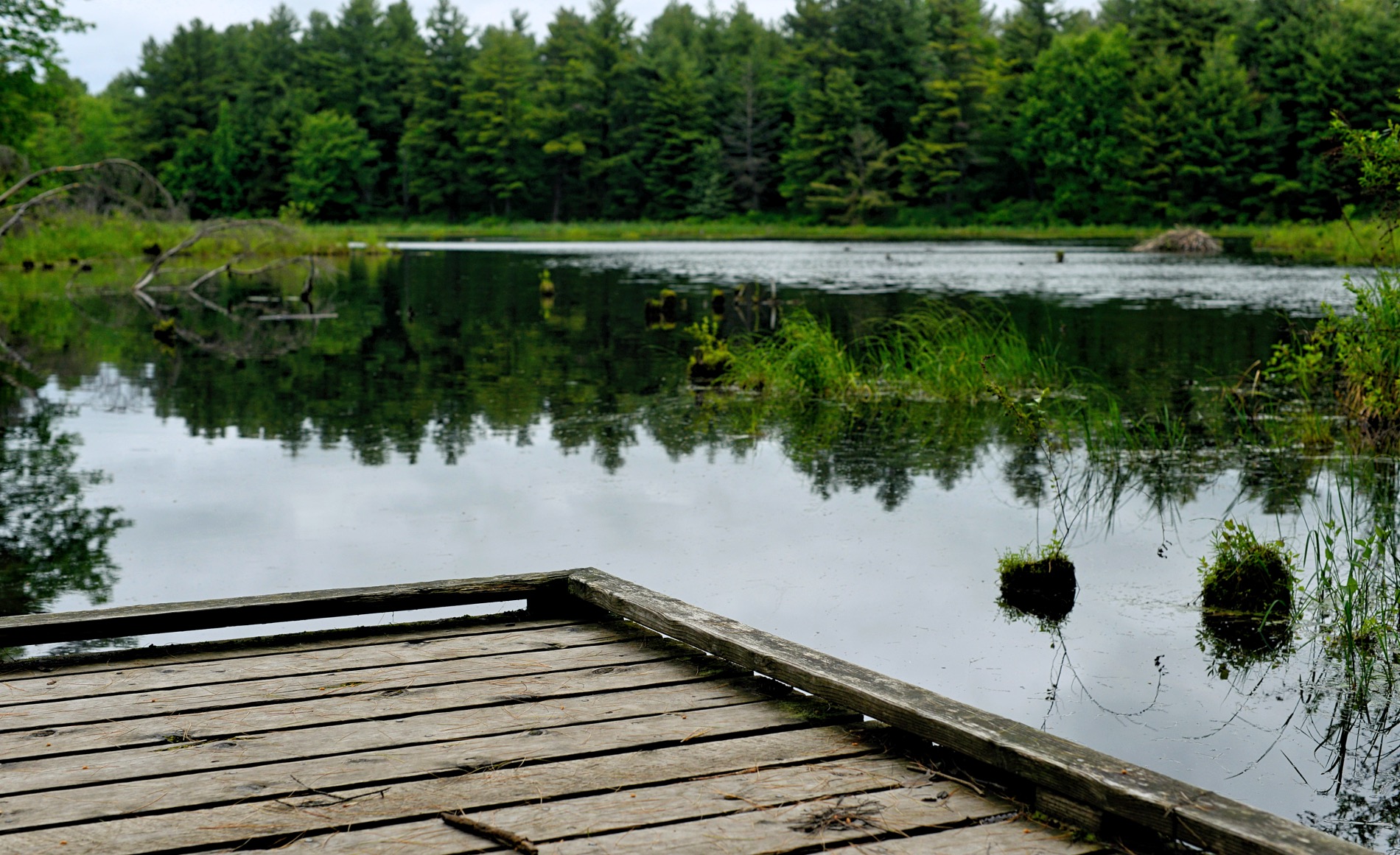 Beaver Pond Trail (Foley) | TravelBox - Global Trip Activity Planner