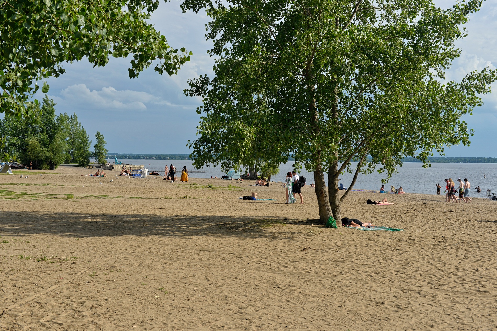 Parc des Cèdres | TravelBox - Global Trip Activity Planner