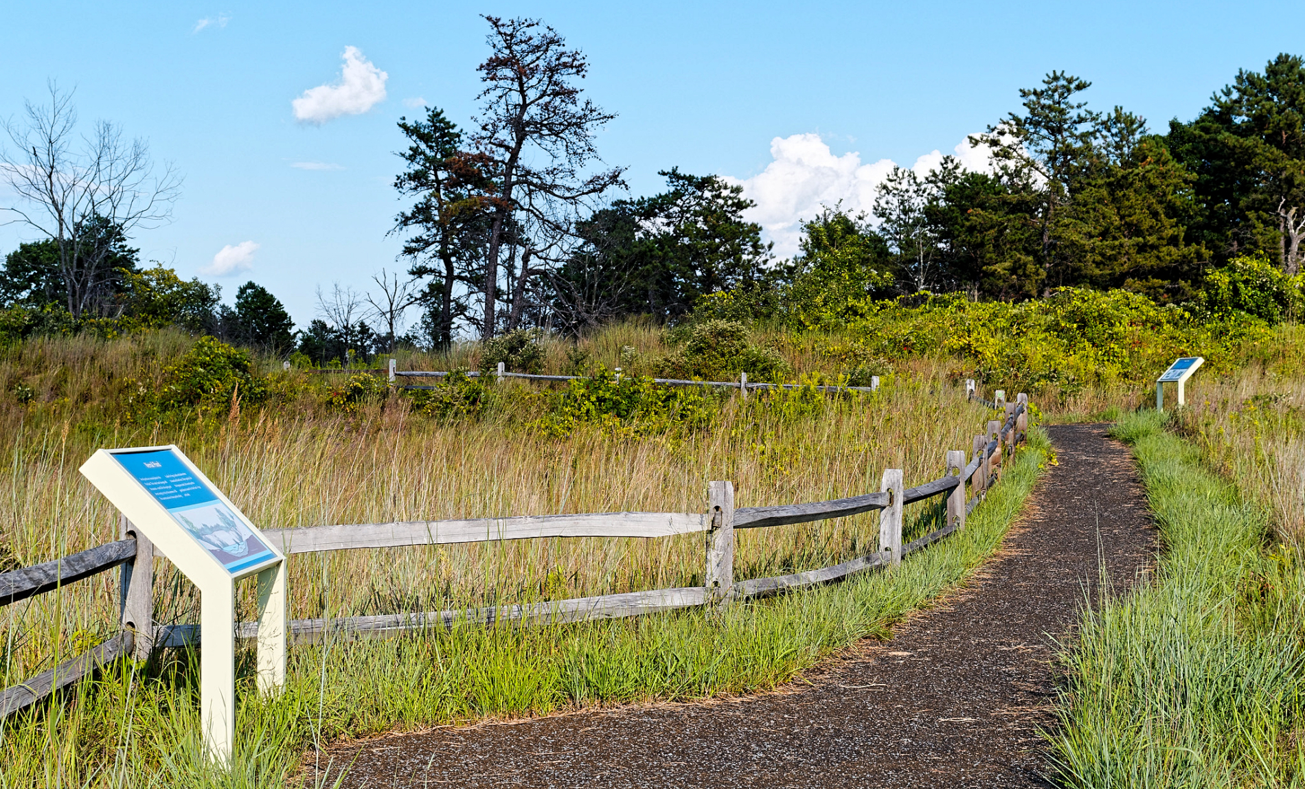Albany Pine Bush Preserve | TravelBox - Global Trip Activity Planner