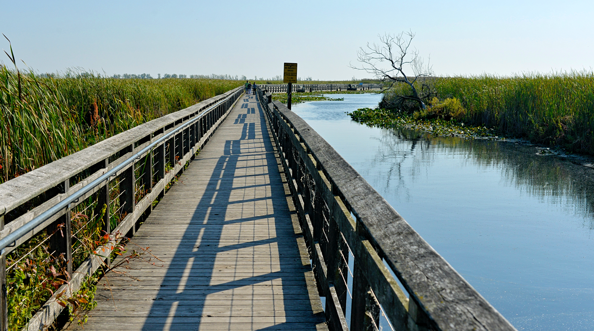 Point Pelee – Marsh Boardwalk | TravelBox - Global Trip Activity Planner