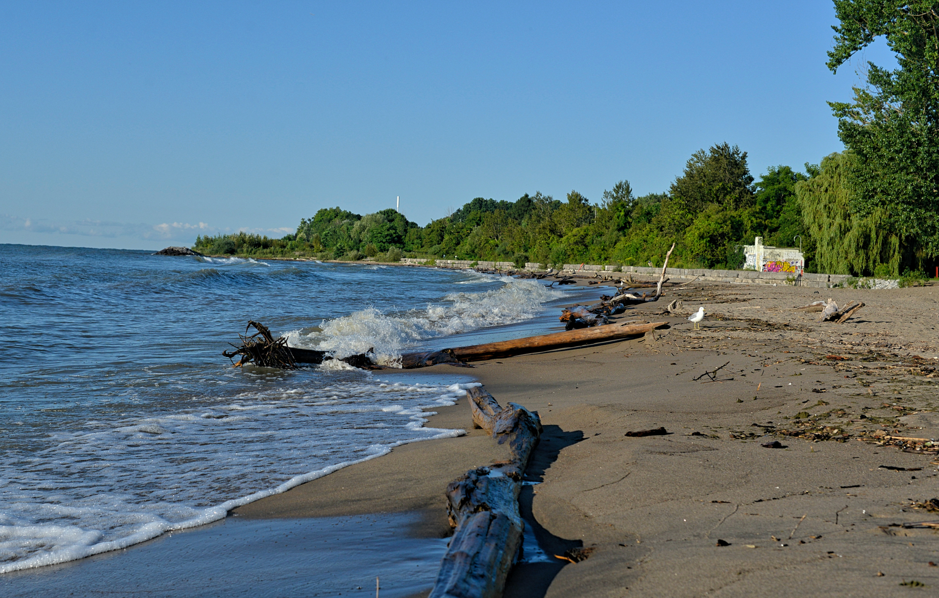 Rouge Beach | TravelBox - Global Trip Activity Planner