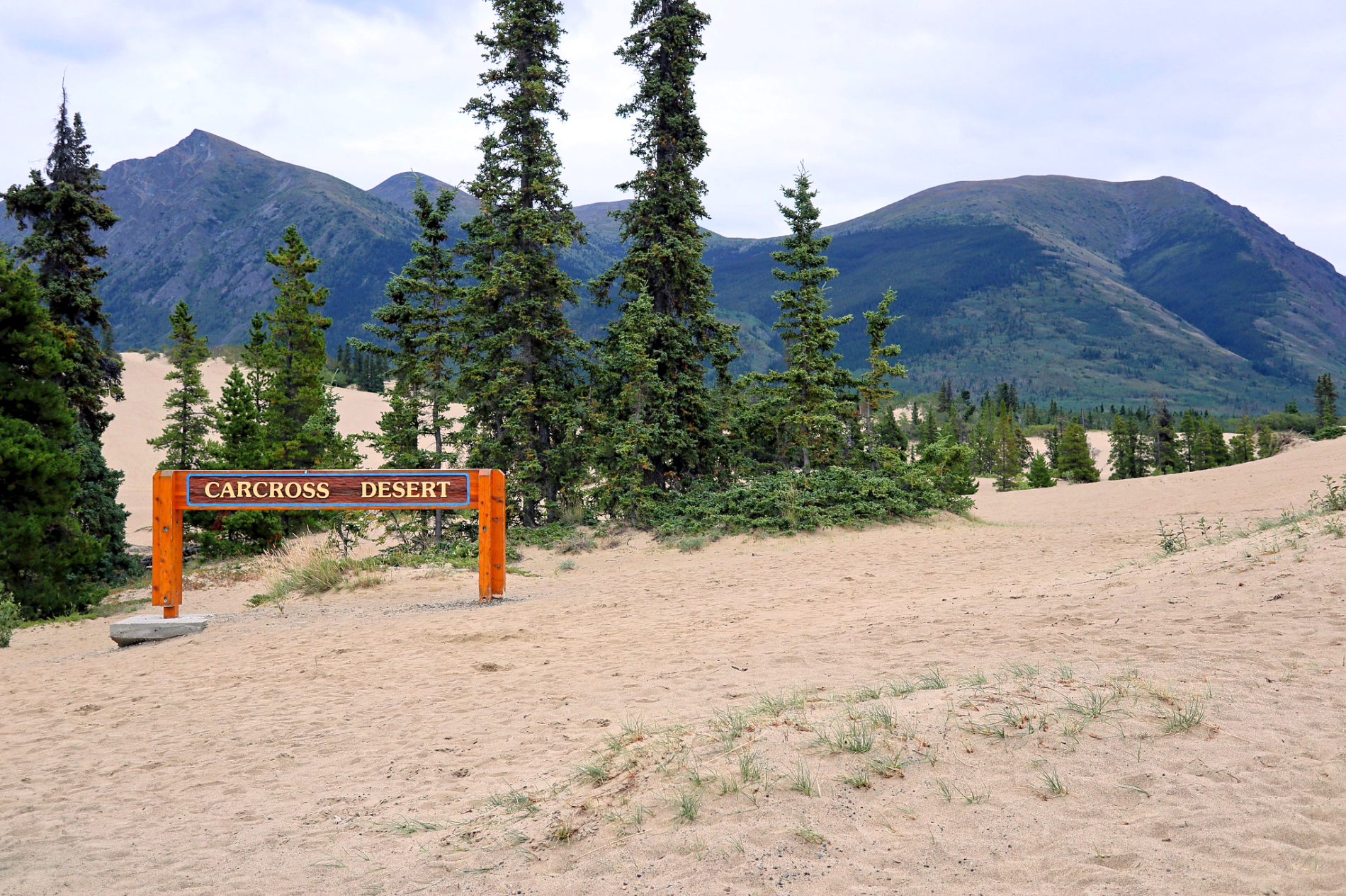 Carcross Desert | TravelBox - Global Trip Activity Planner