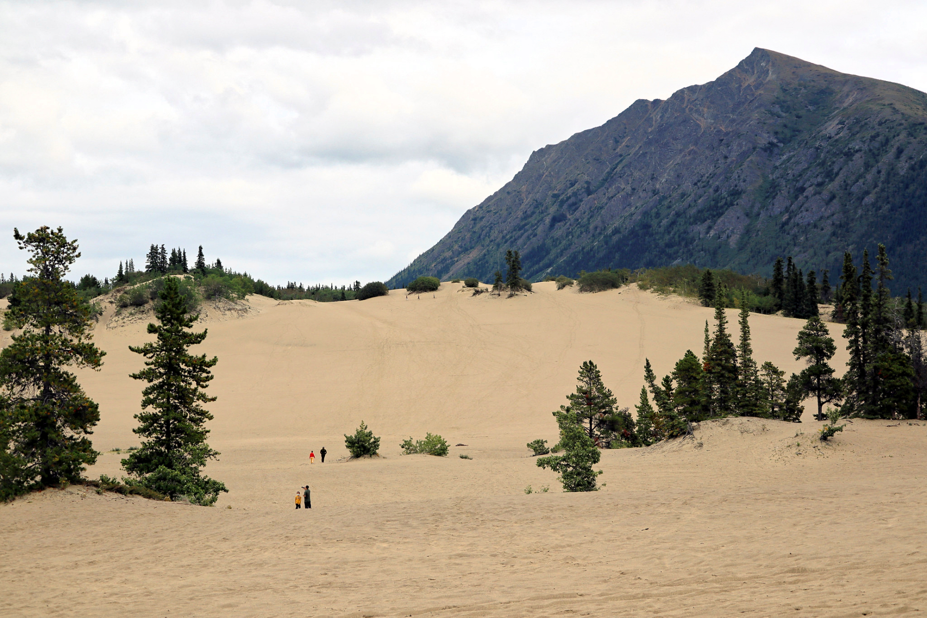 Carcross Desert | TravelBox - Global Trip Activity Planner